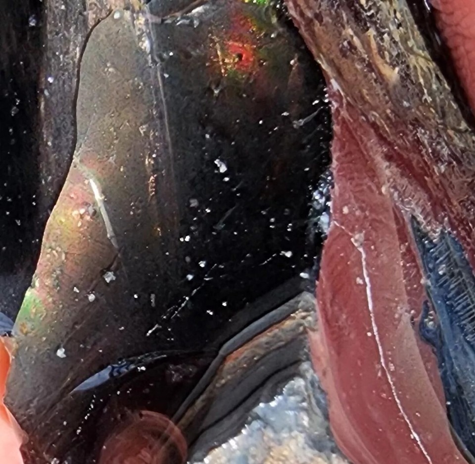 FIRE OBSIDIAN - AAA+ Quality - VERY RARE Rough From GLASS BUTTE OR ...