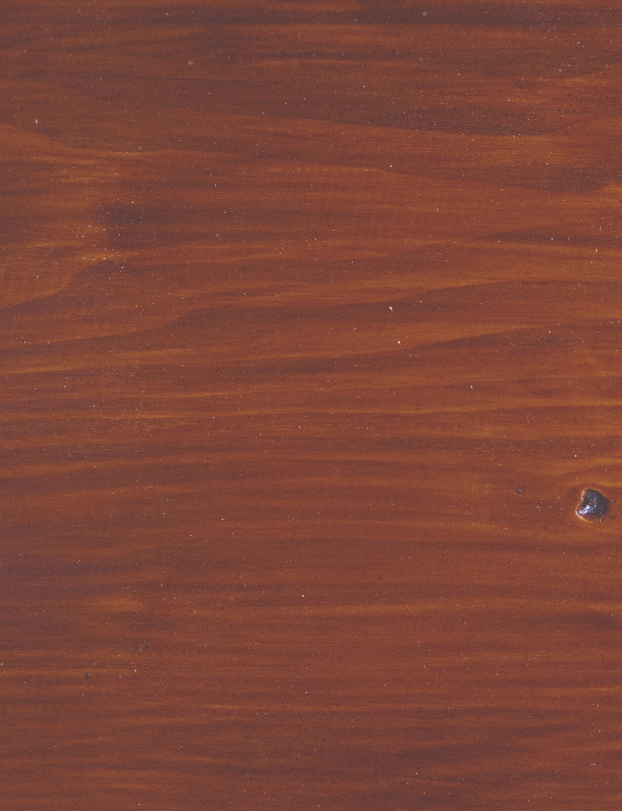 Sashco Capture Log Stain, 5 Gallon, 11 Colors - Interior & Exterior Log ...