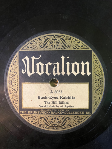Vocalion 5023 The Hillbillies (Al Hopkins) BUCK-EYED RABBITS country 78 ...