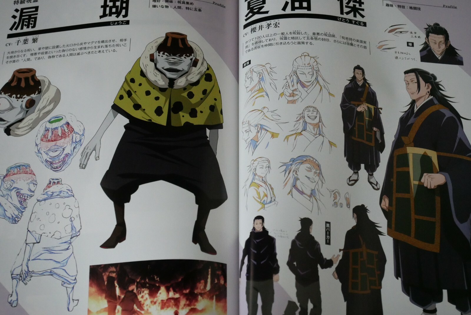 JAPAN Gege Akutami: TV Anime Jujutsu Kaisen 1st Season Complete Book | eBay