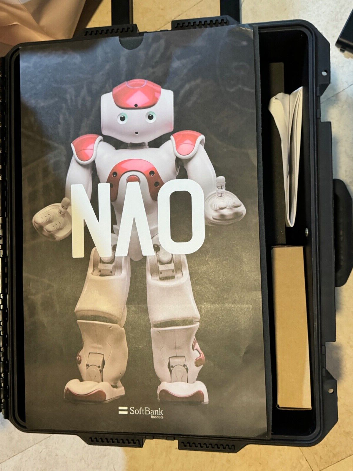 nao H25 robot RED | eBay
