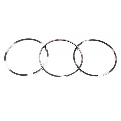 2W1709 RING SET PISTON Suitable For Caterpillar 2W1709 | eBay