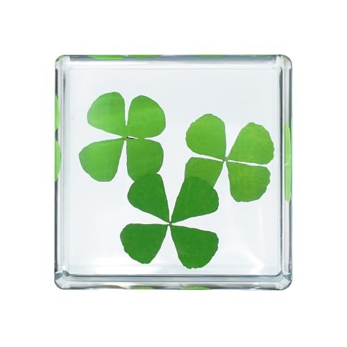 Good Luck Charms Real 4 Leaf Clover 4cm Cube Paperweight, St. Saint ...