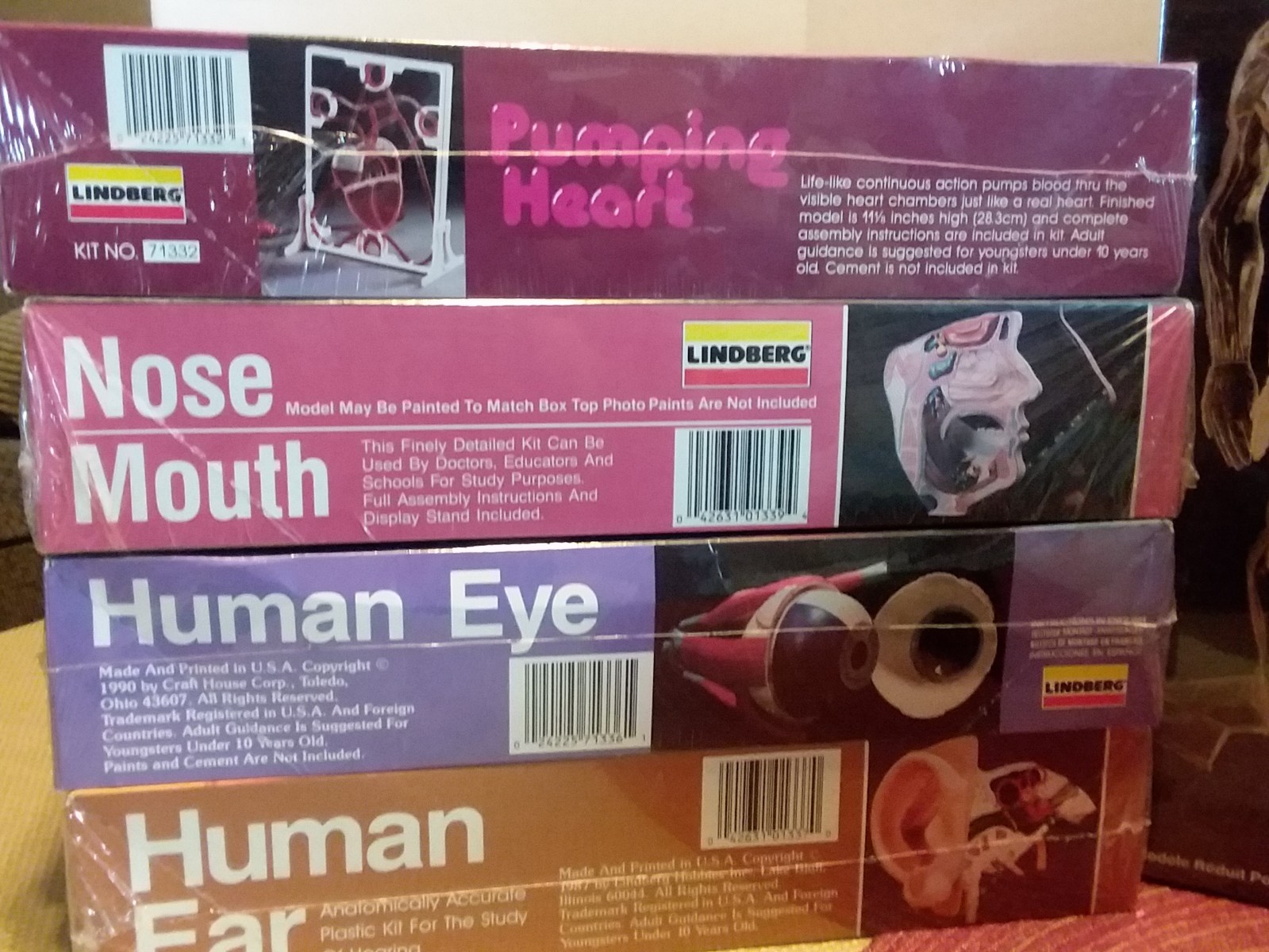 Lindberg Body Parts Visible Human Body 1/6 Scale Plastic Model Kit Lot ...