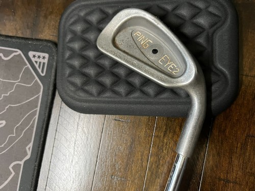 Ping Eye 2 Black Dot 1 Iron | eBay