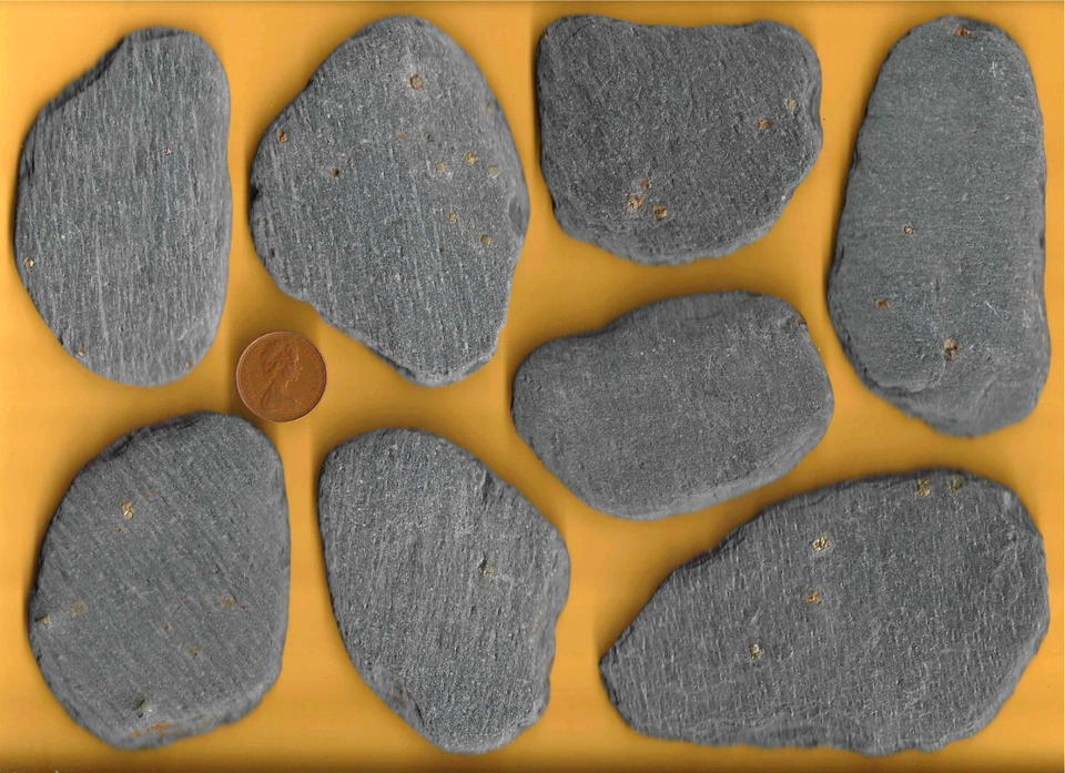 8 Flat UK North Sea Scottish beach slate stone with Fool`s Go1d 955g ...