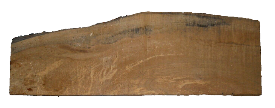 FIDDLEBACK MAPLE SLAB TURNING CRAFTING WOODWORKING APPROX 19x6.5x1 IN ...