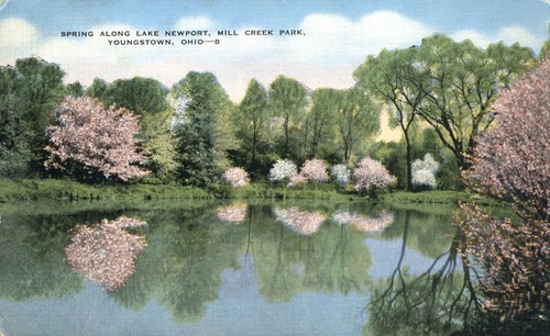 Spring along lake Newport Mill Creek Park Youngstown Ohio Postcard | eBay