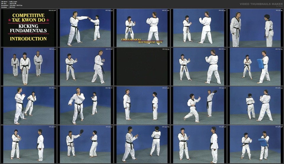 WTF Tae Kwon Do Training with Kelly Westoby (7 DVD Set) | eBay