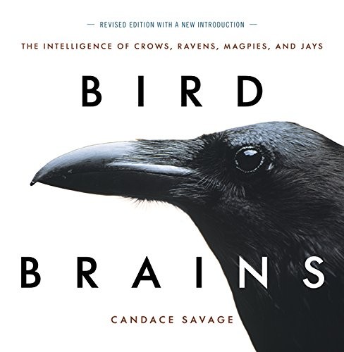 Bird Brains: The Intelligence of Crows Ravens Magpies and Jays by ...