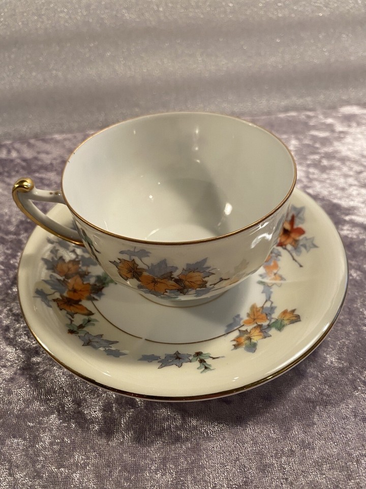 Epiag Royal - Silver Maple Tea Cup & Saucer. Czech. | eBay