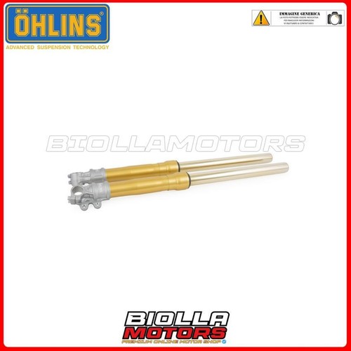 FG 620 FOURCHETTE OHLINS TRIUMPH Thruxton 2015 - 43 retrò - ORO | eBay