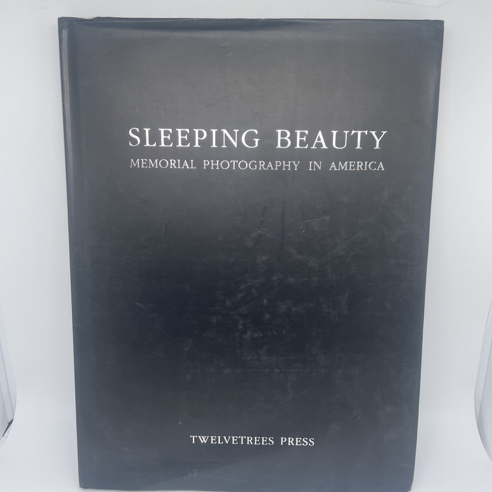 Sleeping+Beauty+by+Stanley+Burns+%281990%2C+Hardcover%29 for sale ...