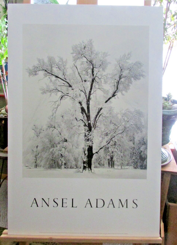 ANSEL ADAMS Oak Tree Snowstorm Yosemite Valley Ca 1948 Lithograph 24" x ...