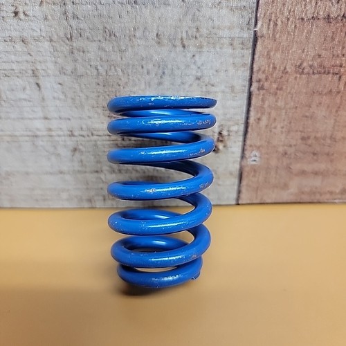 CHEVROLET PERFORMANCE #12499224 LS1 LS3 LS6 BLUE GM VALVE SPRING | eBay