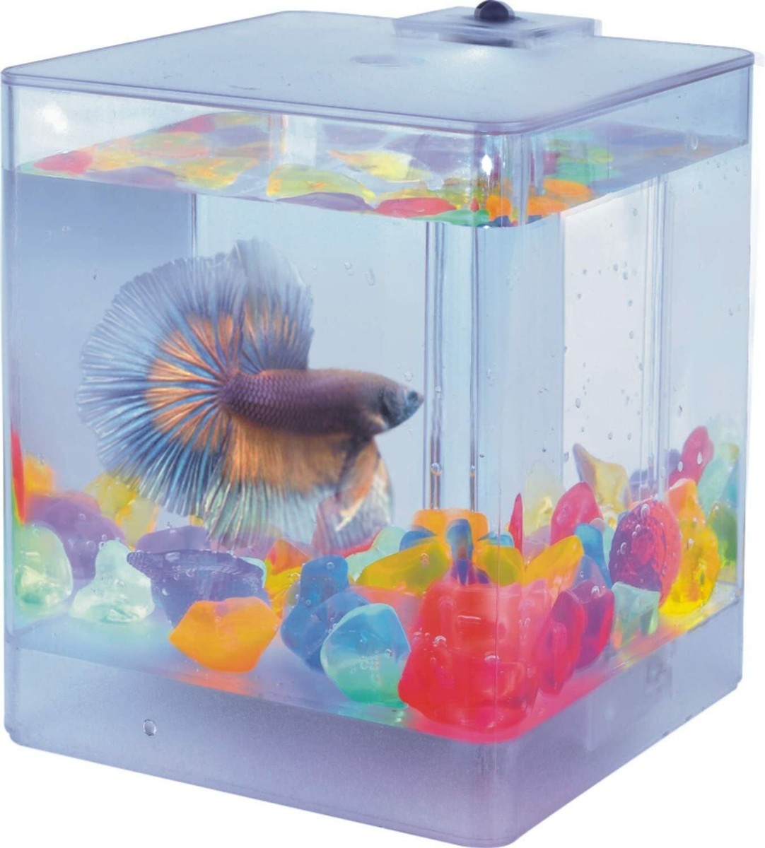Cube Betta Fish Bowl