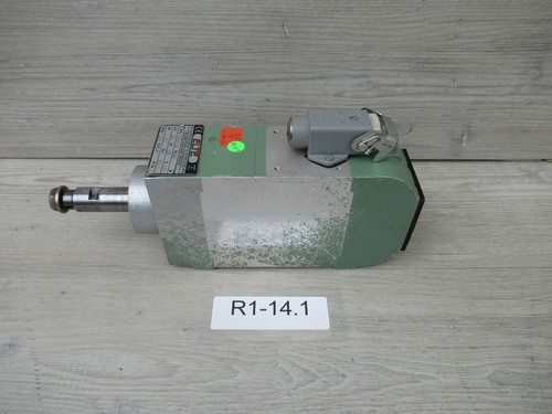 Elte Type: EVS31 9/2 Spindle Motor 18000 RPM 300Hz | eBay UK