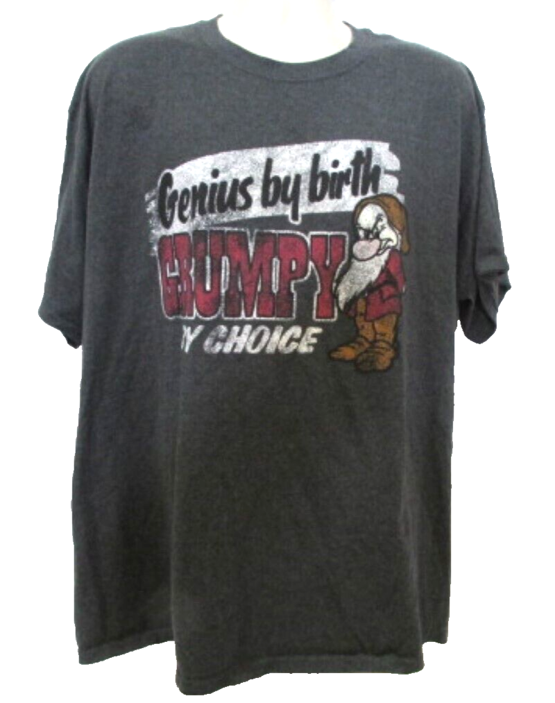 Disney Parks Genius by Birth Grumpy by Choice Gray 2XL T-Shirt | eBay