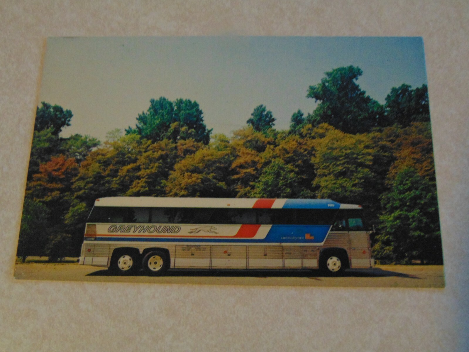 Greyhound Bus Side
