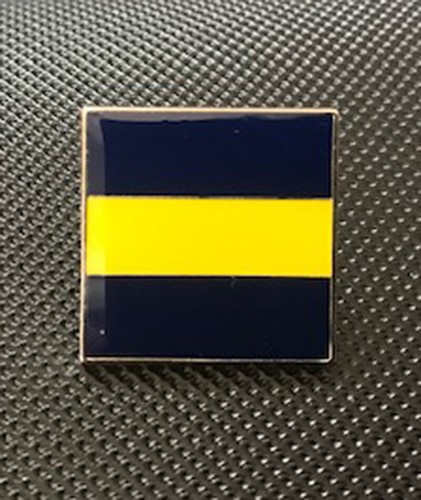 PRINCESS OF WALES ROYAL REGIMENT PWRR TRF ENAMEL PIN BADGE ARMY ...