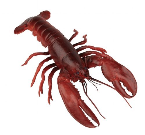 Lifelike Rubber Lobster Toy 32 Cm by Ravensden for sale online | eBay