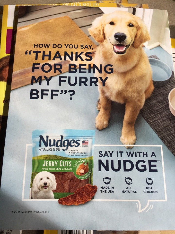 HAPPY PAWS Magazine 2019 Your Dog/Cat’s Best Life How They Think & See ...