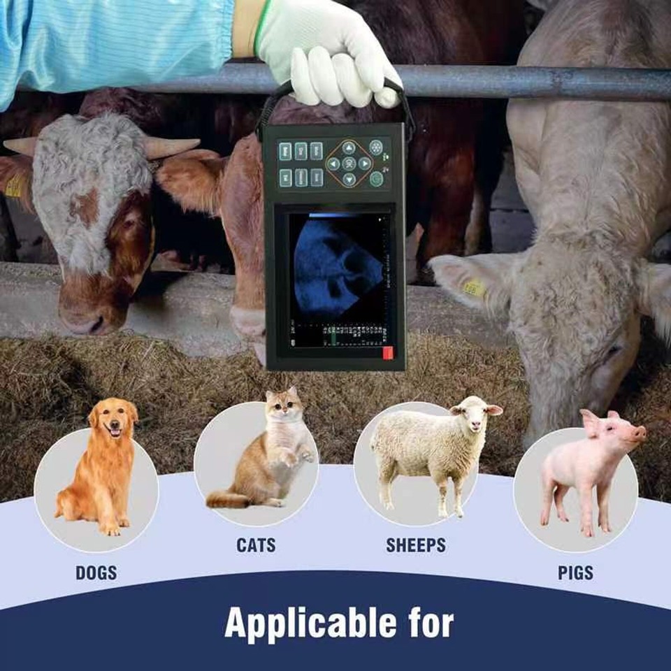 Portable Veterinary Ultrasound Machine Handheld Scanner For pigs, sheep ...