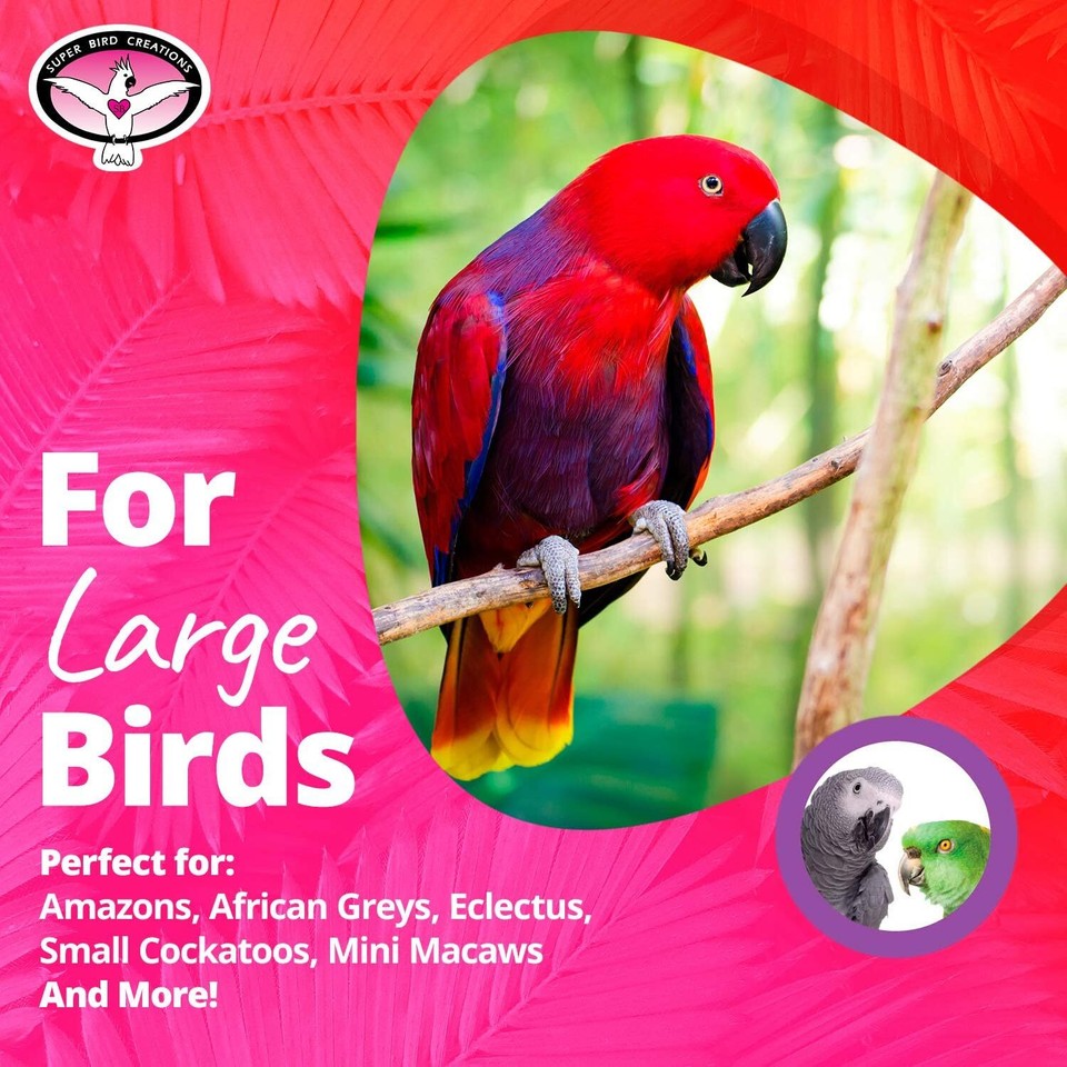 Peacock Sr. Bird Toy Shreddable Bird Toy, Large Parrot Toy, Large Bird ...