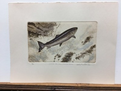 Mike Stidham Leaping Falls Atlantic Salmon Fishing Signed Etching Art ...