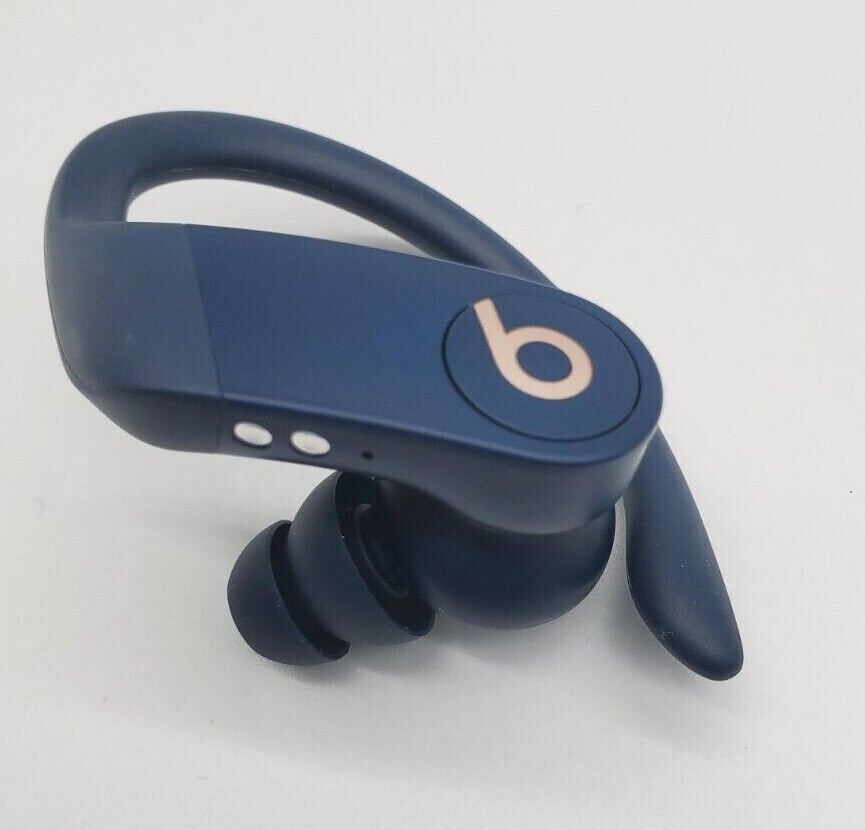 Beats by Dr. Dre Powerbeats Pro Totally Wireless Bluetooth Earbuds ...