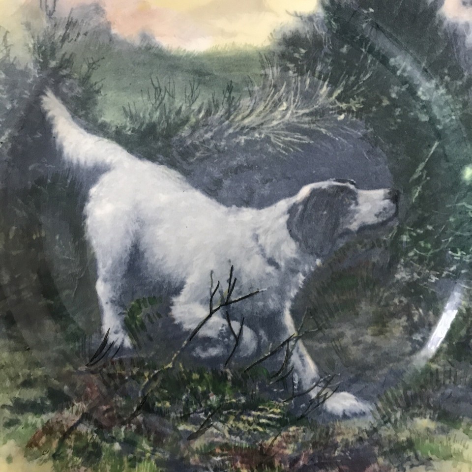 Royal Doulton Seriesware English Setter Dog Plate- D6313-26.5 cm ...