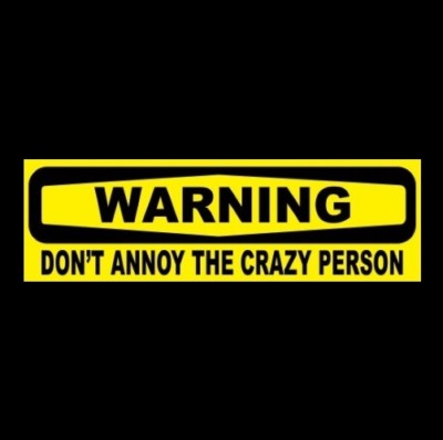 Funny "DON'T ANNOY THE CRAZY PERSON" warning decal BUMPER STICKER sign ...