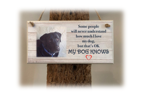 PERSONALISED PLAQUE, SIGN. PHOTO & QUOTE. Smallest things. Gift for dog ...