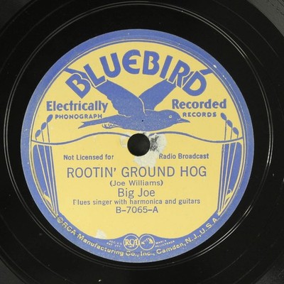 BIG JOE: rootin' ground hog / i won't be in hard luck no more BLUEBIRD ...