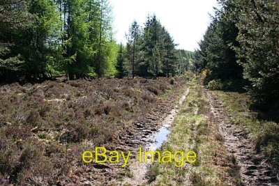 Photo 6x4 Green Hill Berryhillock/NJ5060 The sides of this track are ...