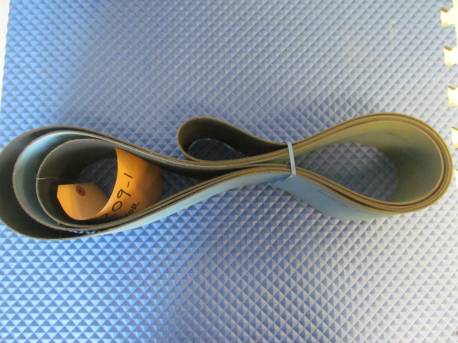 New Nitta Conveyor Belt L 750 L-750 100 X 3910 765023 R61209-1 | eBay