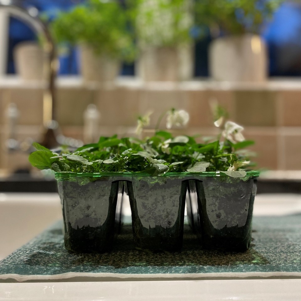 5m x 53cm Capillary Matting Fabric Watering Mat Greenhouse Hydroponic ...