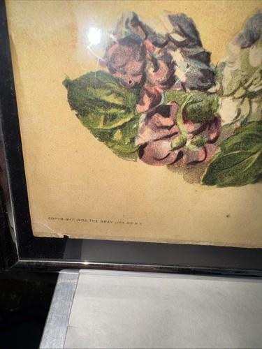 Vintage Floral Print by Mary E. Hart – Framed Botanical Artwork | eBay
