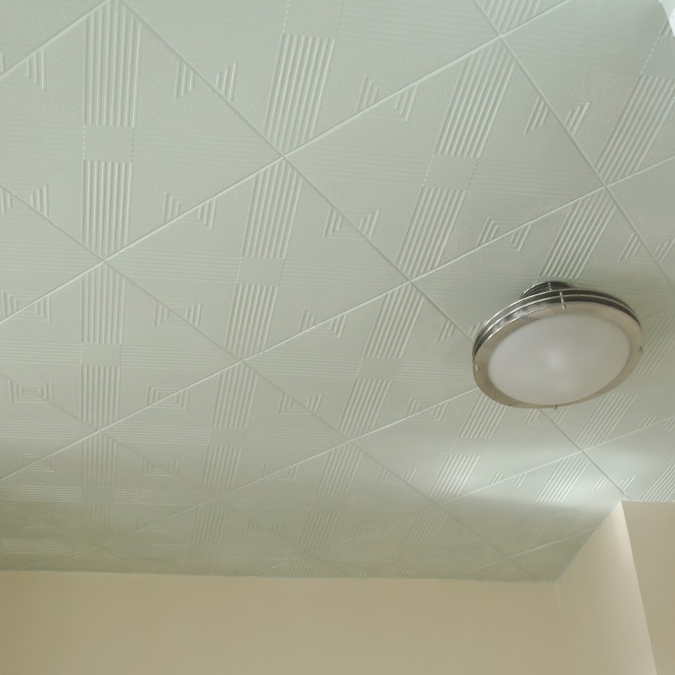 Ceiling Tiles | eBay