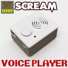 Scream Voice Box | eBay