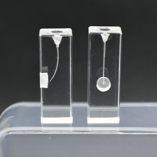 Dental Files Practice Blocks Endo Root Canal Replicas RCT File Training ...