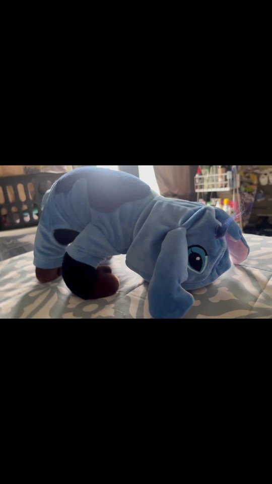 Lilo and Stitch Dog Costume Size Xs Disney Stitch Costume | eBay