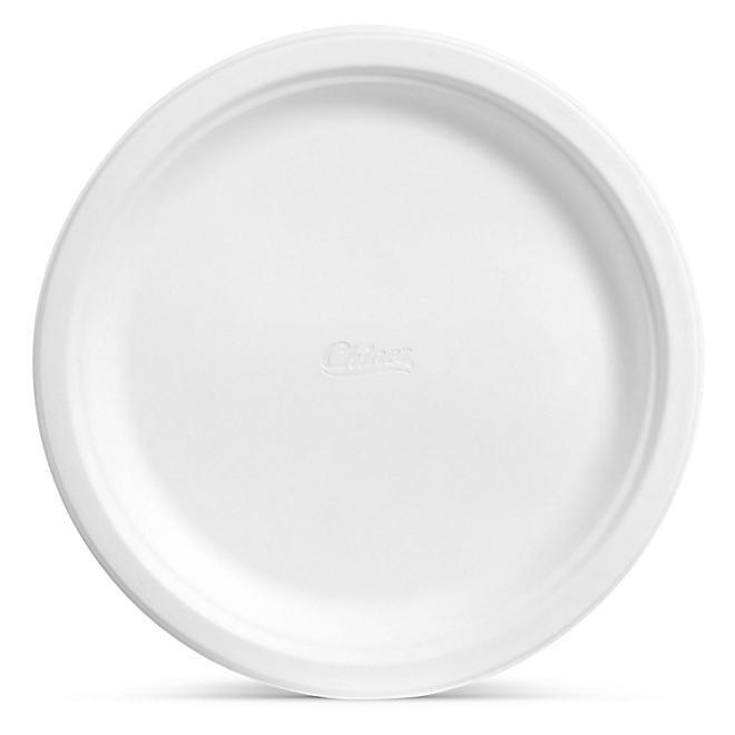Chinet Classic Dessert Plates, 6.75", 300 ct. | eBay