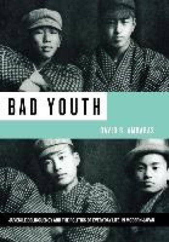 Bad Youth - Juvenile Delinquency and the Politics of Everyday Life in ...