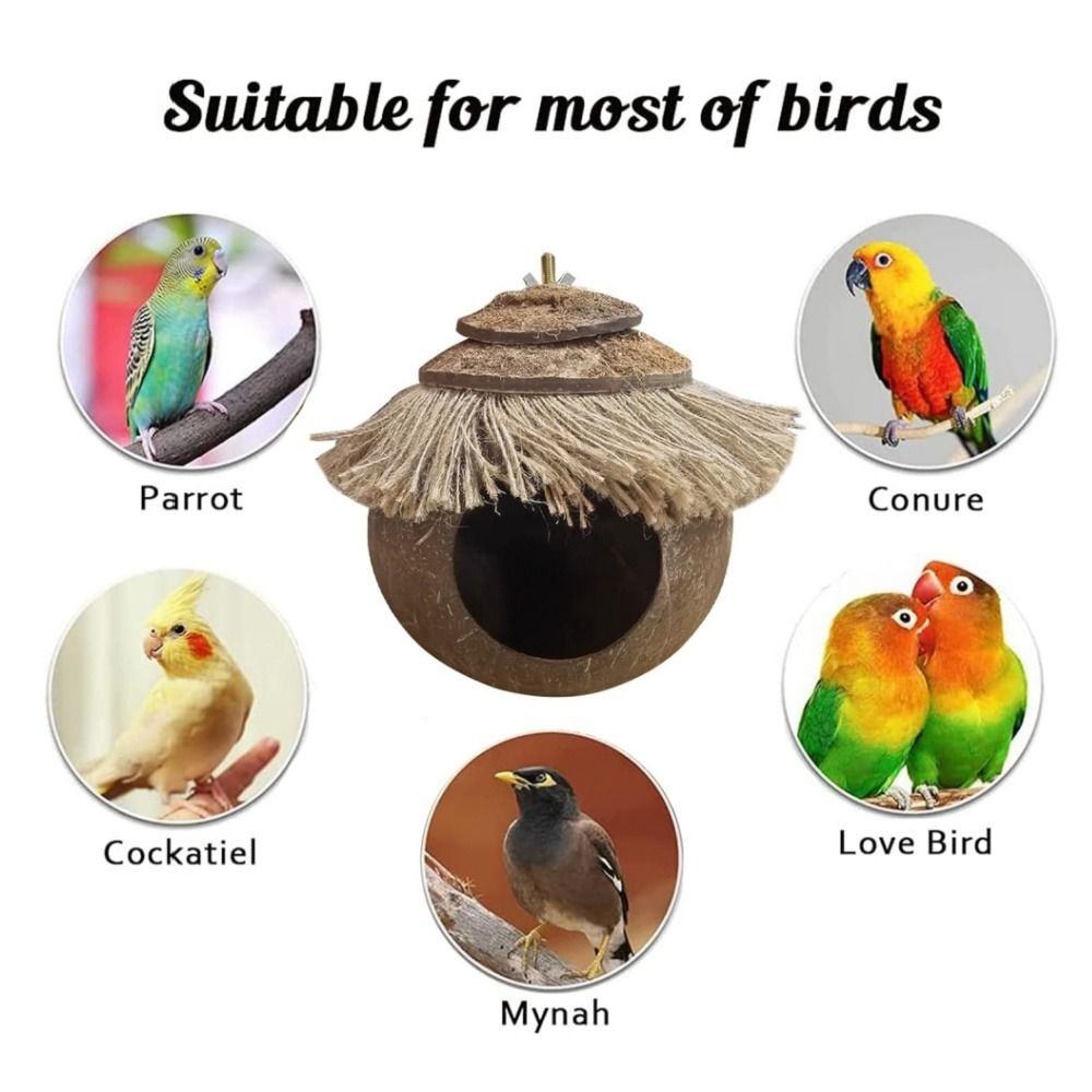 Round Coconut Bird Shell Breeding Nest | eBay