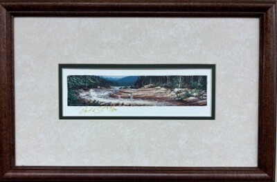 David Sipple "Smoky Afternoon" Hand Signed & # FRAMED Art Carolina ...
