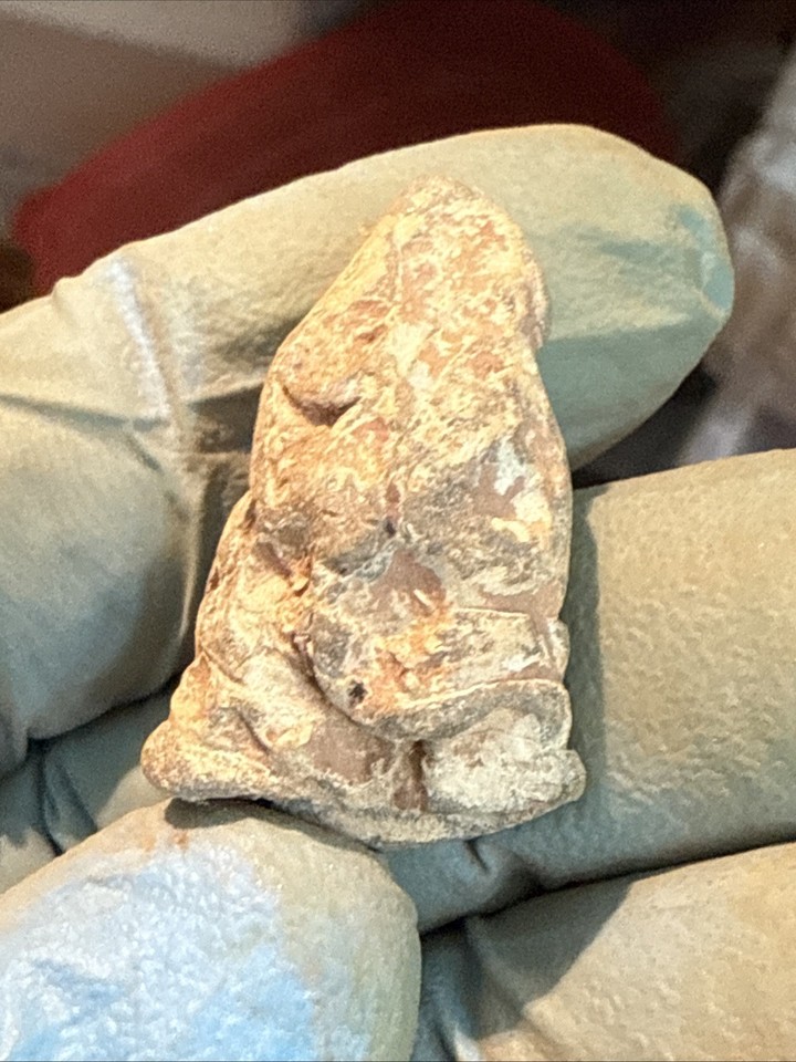 Dug Civil War 💥 🇺🇸 💣 Chewed Minie Bullet Nice | eBay