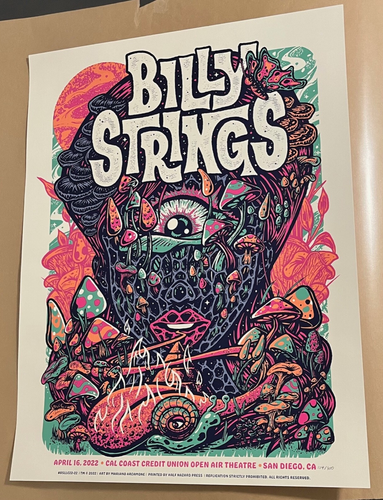 Billy Strings San Diego 2022 Concert Poster NUMBERED to 300 SE Official 4/16/22 | eBay