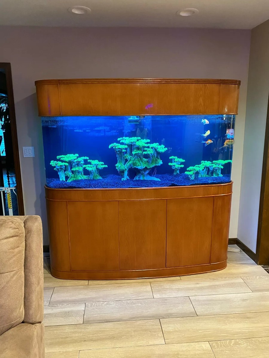 Aqueon Bow Front Aquarium Top Fin Bowfront Aquarium & Stand Ensemble