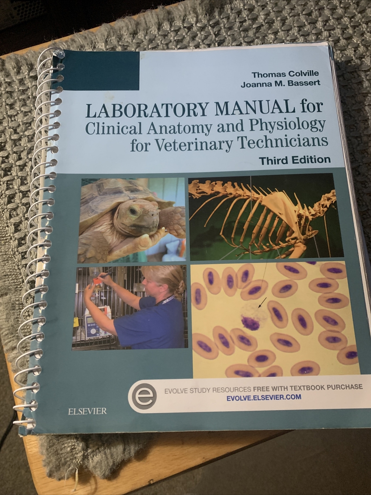 Laboratory Manual for Clinical Anatomy and Physiology for Veterinary ...